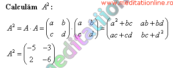 Probleme rezolvate la matematica-Adunarea inmultirea cu scalari ...